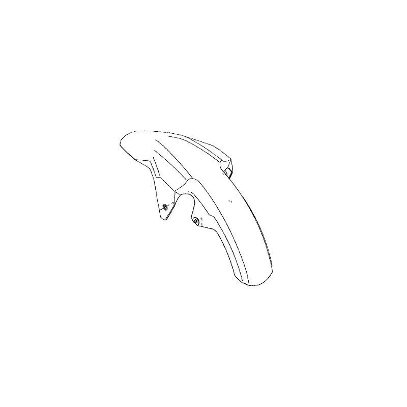 Front Fender Kawasaki Versys-X 300 35004-0363