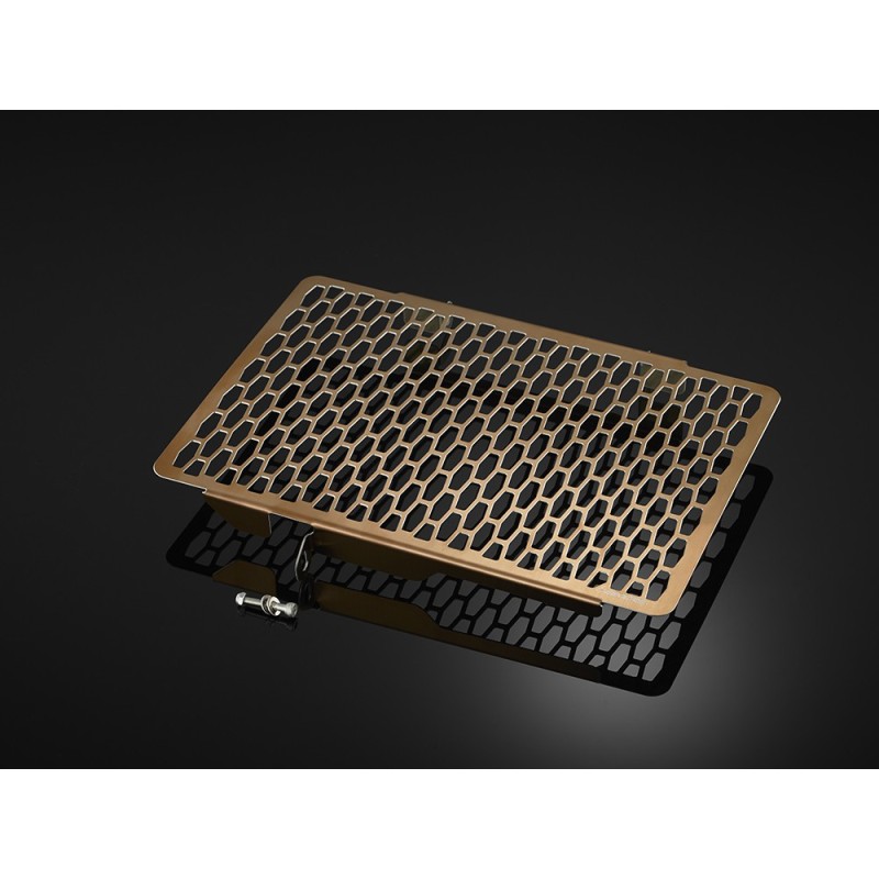 Titanium Radiator Guard Bikers Honda CB650R