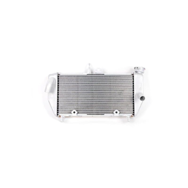Radiator Yamaha YZF R3 2019 2020 2021 2022 2023 2024 1WD-E2461-00