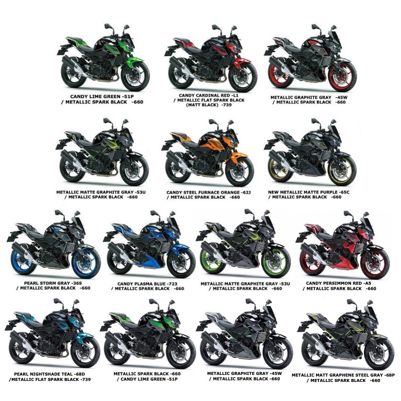 Rear Cover Right Kawasaki Z400 36041-0038