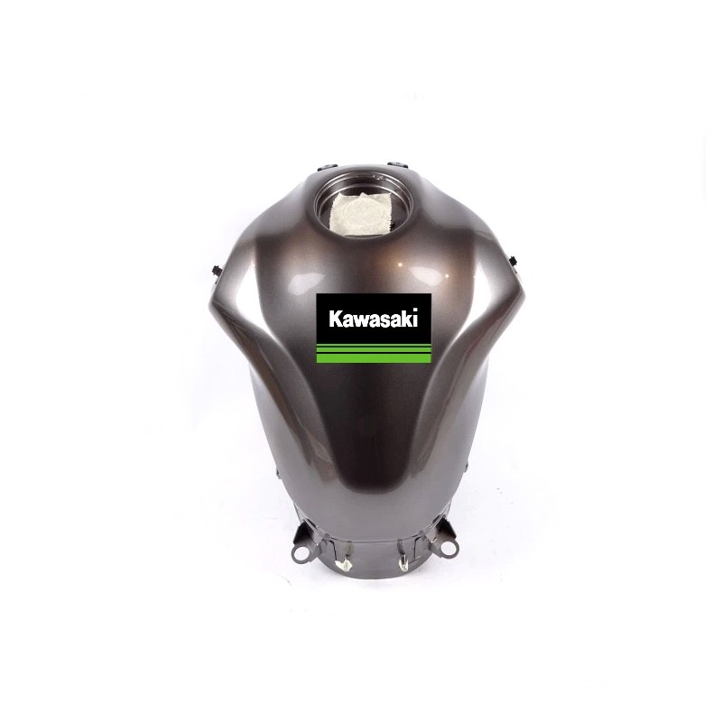 Fuel Tank Kawasaki Z900 2020 2021 2022 2023 51001-0895