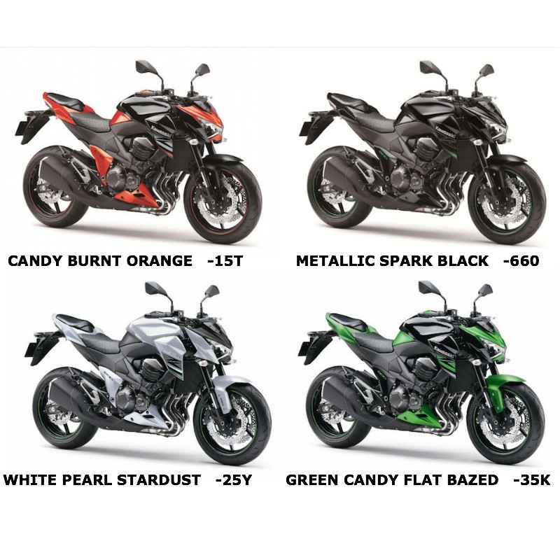 Sticker Logo Flanc Avant Kawasaki Z800 56054-1748